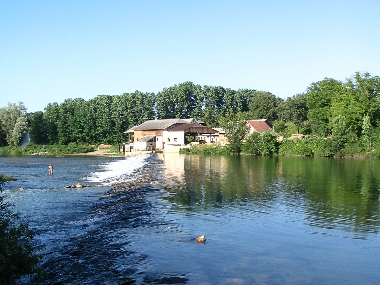 Bela krajina – Orhideje Bele krajine